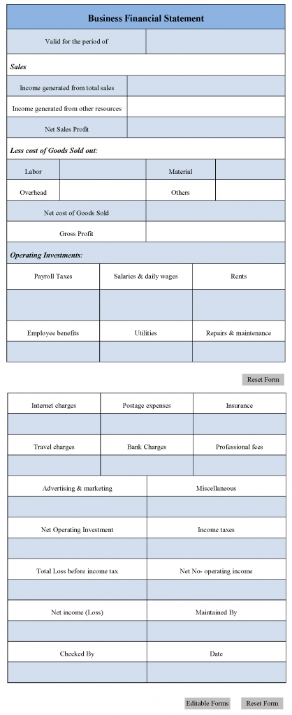 Business Financial Statement Form | Editable PDF Forms